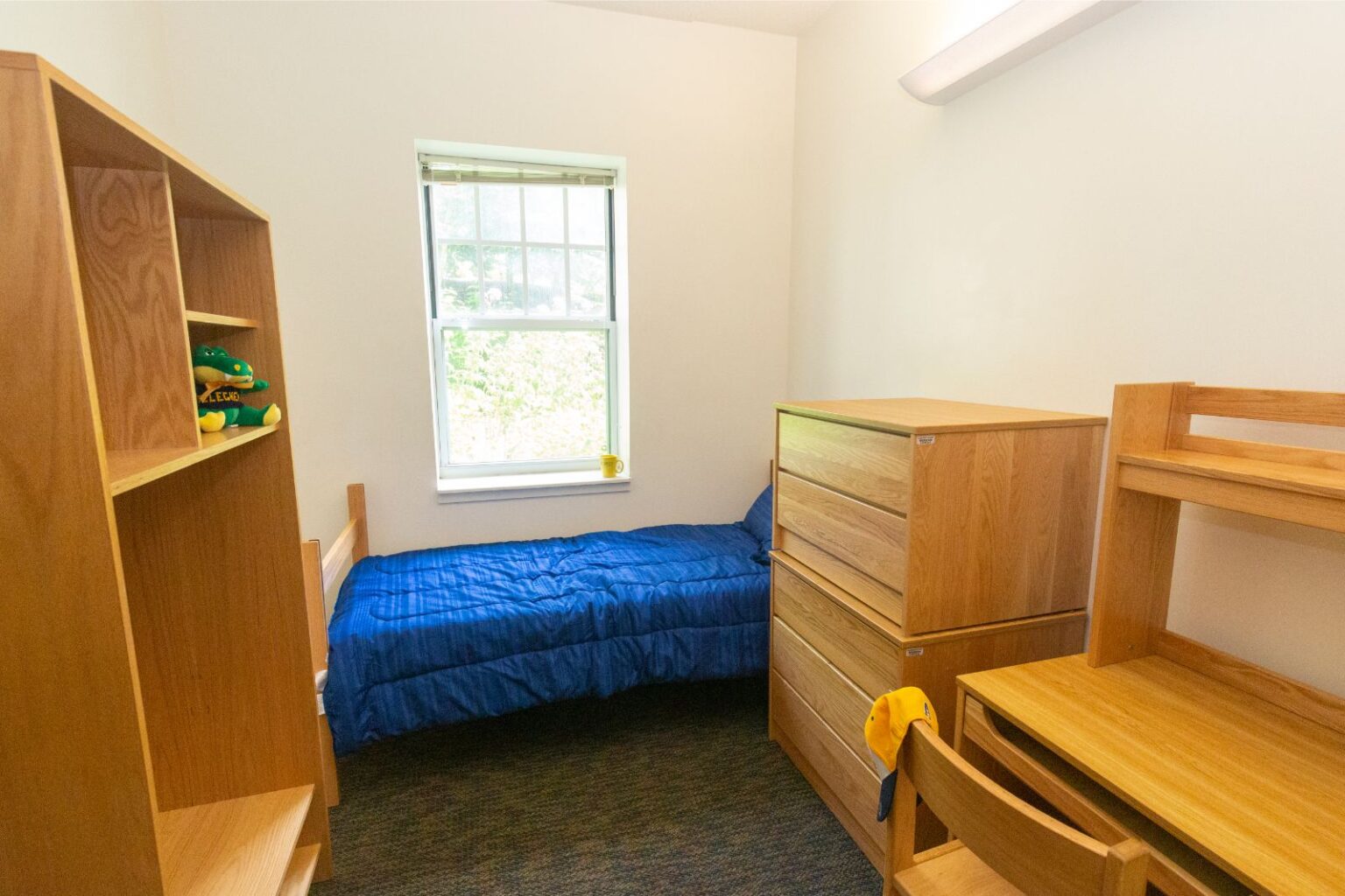 Residence Halls - Allegheny College
